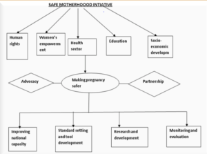 Safe Motherhood - Midwives Revision