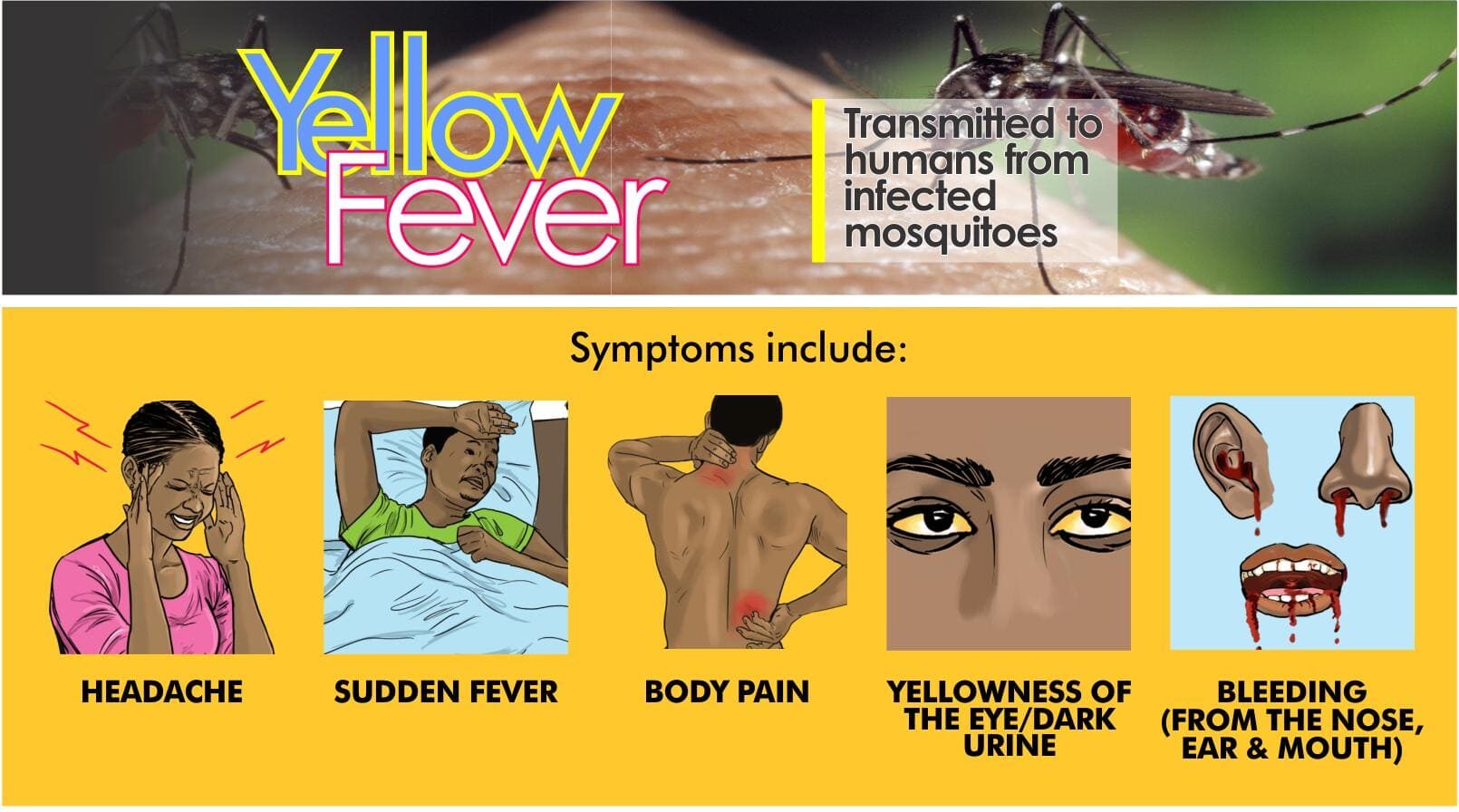 YELLOW FEVER - Midwives Revision