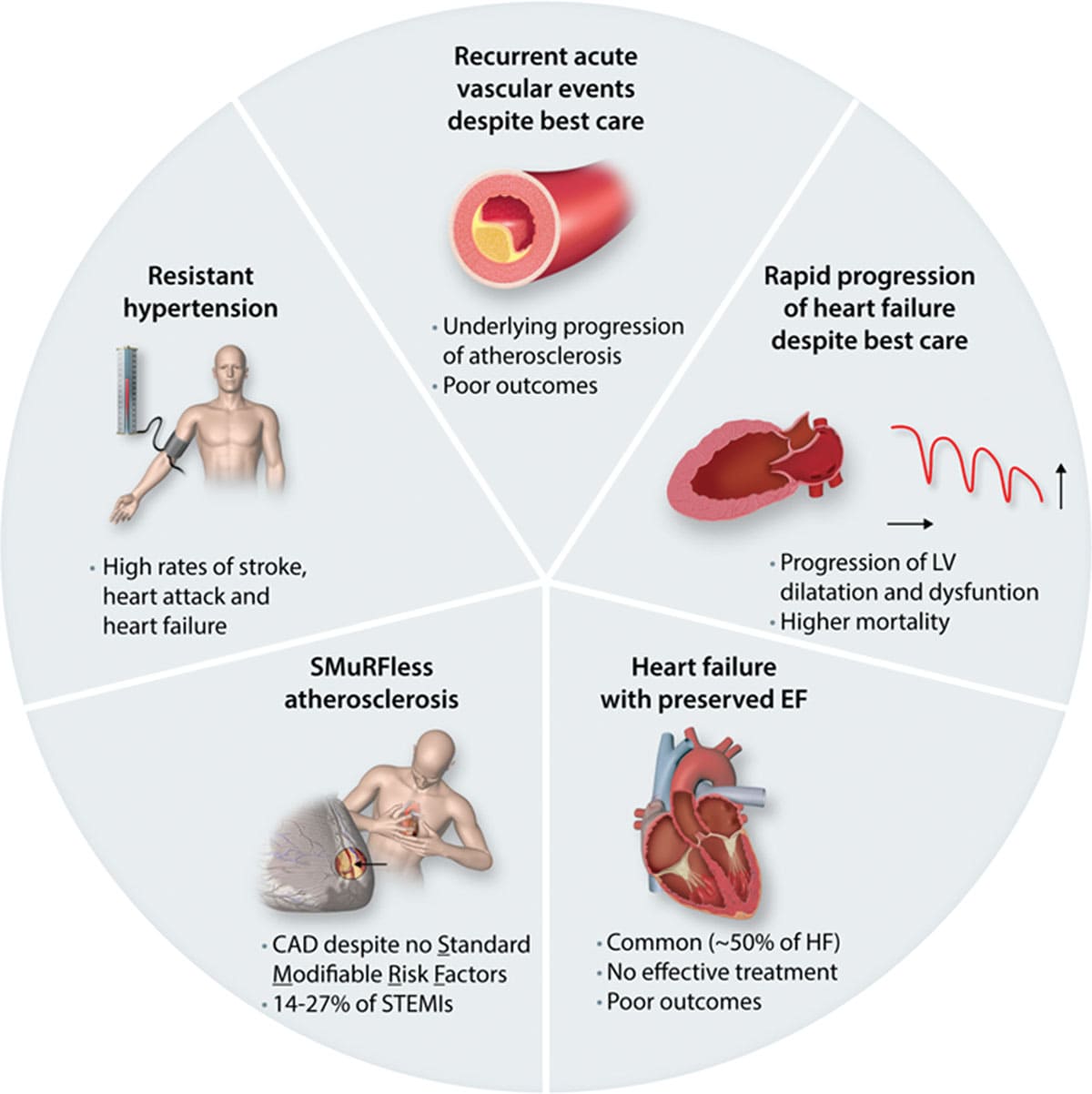 Drugs Used in the Treatment of Cardiovascular Disorders - Midwives Revision