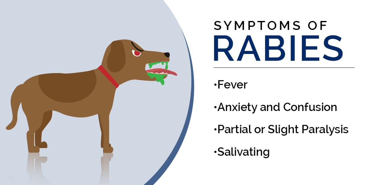 Rabies - Midwives Revision