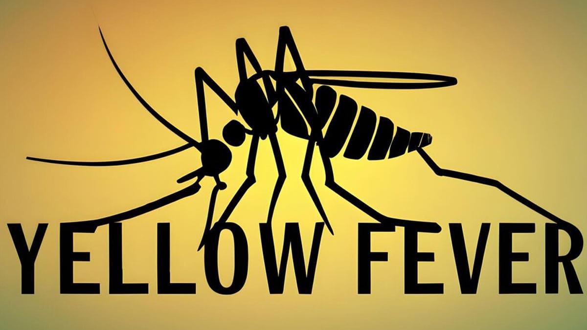YELLOW FEVER - Midwives Revision