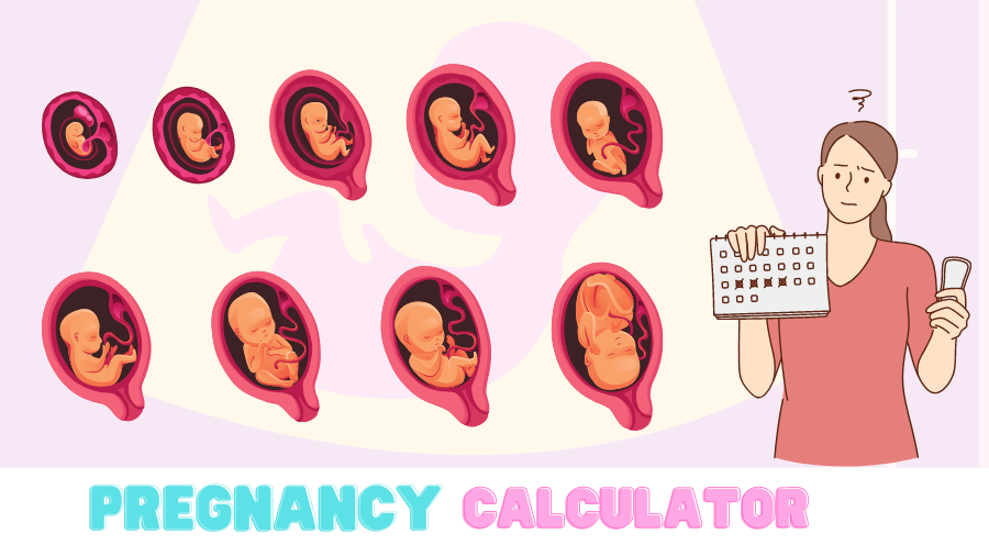 Calculate Weeks of Gestation using LNMP - Midwives Revision